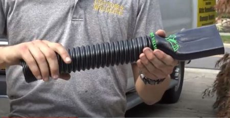 Wildlife, Bird & Bat Exclusion Services $1,495+ For Ohio Homes